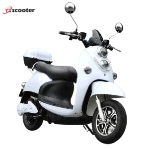 Buy Motorcycle Eec Coc Approved Retro Style Electric Motorcycle Bike ...