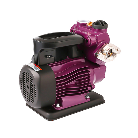 Buy Portable Electric Motor Pumps 600w 0.75hp Water Pressure Booster ...