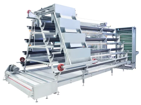 Buy Poultry Helper 3 Chicken With Chicken Cages Egg Layer For Sale from ...