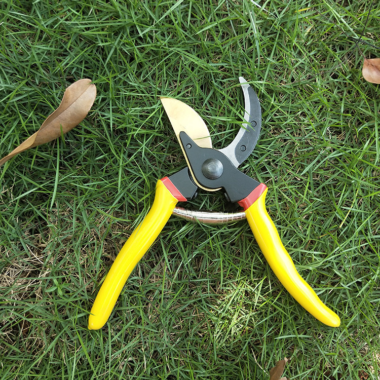 Buy Tecuniq High Quality 8 Inch Pruning Shears Anti-skid Garden Pruners ...