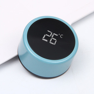 Buy Wholesale Thermo Capsule Smart Thermometer Bottle Cup, Digital ...