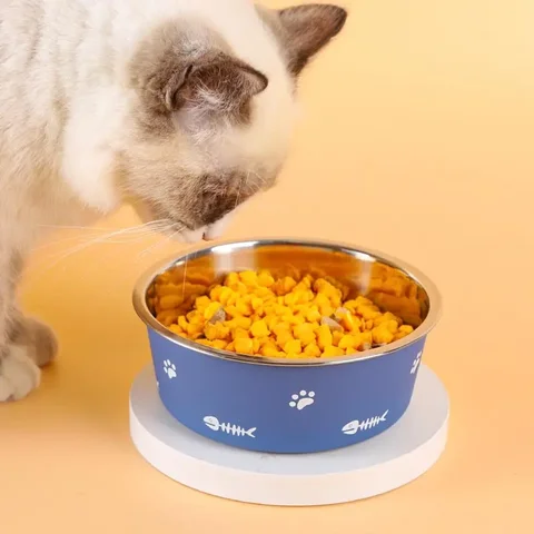 Buy Yoshi 2025 Safety Double-layer Floor-absorbing Pet Bowl Stainless ...