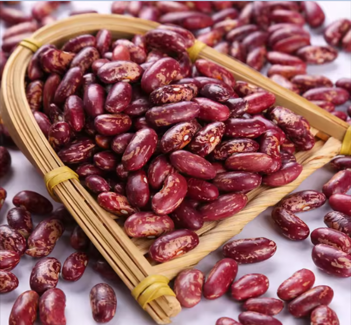 Buy Beans, Red Kidney Beans, Organic, Super Pail from Jaiswal Tradings ...
