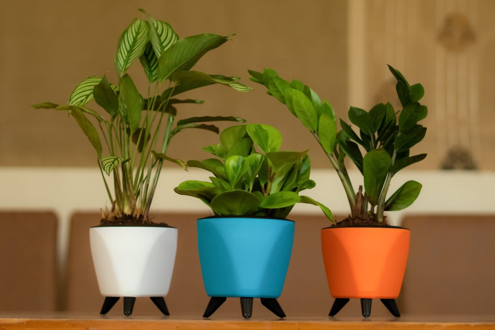 Buy Lagos Self Watering Flower Pots from Harshdeep Hortico Ltd, India ...