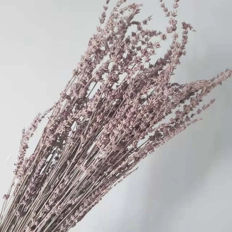 Buy 2022 New Hot Saller Natural Dried Lavender Flowers For Valentine's ...