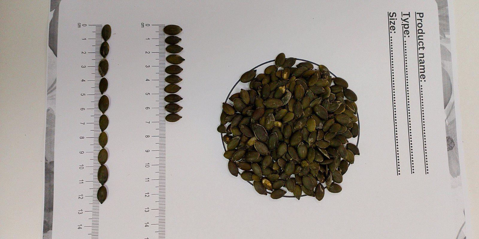 Buy Pumpkin Kernels Gws Aa from Brevis LTD, Bulgaria | Tradewheel.com