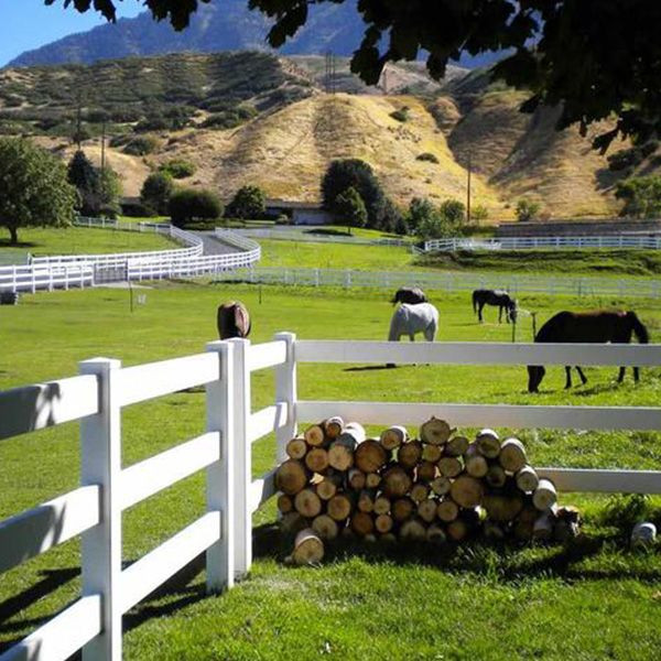 Buy Racecourse Fence Stable Fence Board Rails Hdpe Board from G&C Home ...