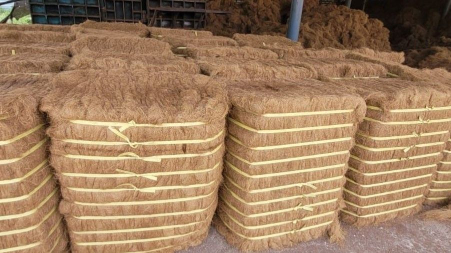 Buy Coco Fiber from Coco Jaya Sentosa, Indonesia | Tradewheel.com