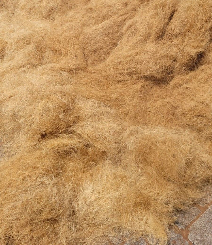 Buy Coco Fiber from Coco Jaya Sentosa, Indonesia | Tradewheel.com