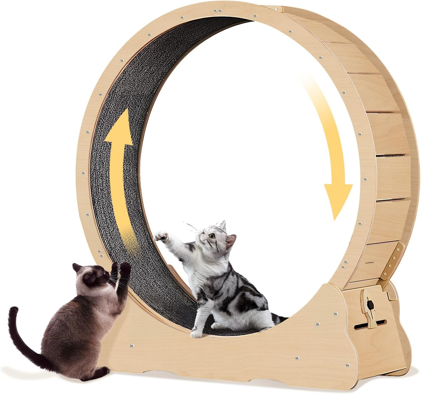 Buy Home Cat Exercise Wheel Designed For Indoor Cats, Running Sturdy ...