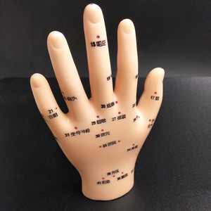 Buy Acupuncture Hand Model Pvc Material 13cm Medical Product from ...