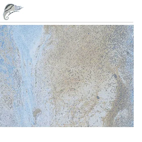 Buy Blue Sintered Stone For Interior Exterior Walls Floors Countertops ...