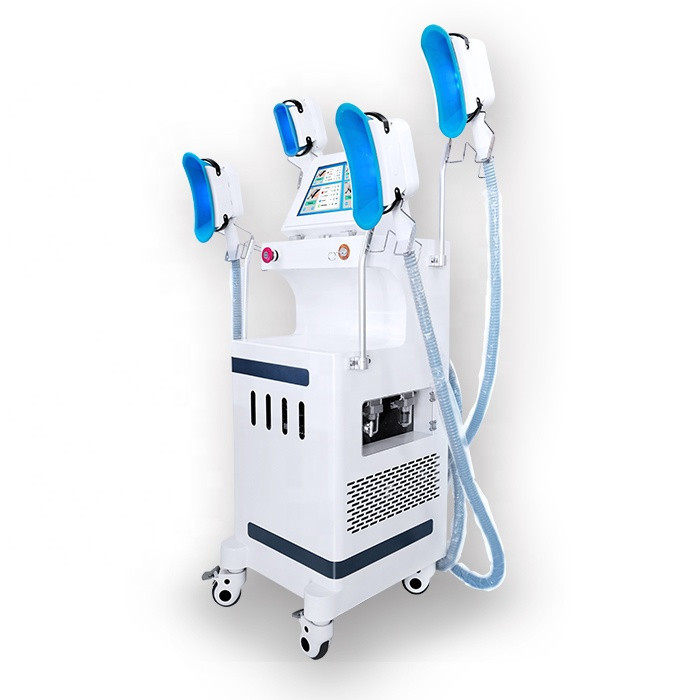 Buy Body Slimming Weight Loss Fat Reduction Freeze Beauty Machine from ...