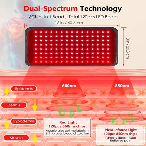 Buy Collagen Led Skin Therapy Panel Infrared Red Light Full Body Pad ...