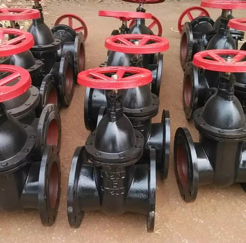 Buy Custom Cast Iron Jis Marine Cast Iron Gate Valve F7363 5k 65a Cast ...