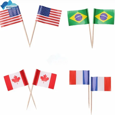 Buy National Countries Flags Toothpicks 50 Countries And Box Packing ...