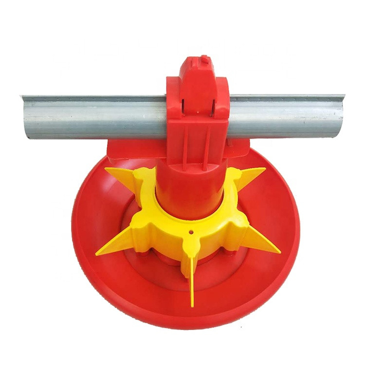 Buy Poultry Chain Feeding Live Chicken Poultry Feed Line Linear Feeder ...