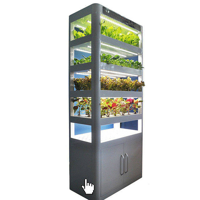 Buy Skyplant Vertical Farming Hydroponic Indoor Garden Smart Home Grow ...