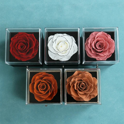Buy Wholesale Preserved Roses Eternal Flower Set Preserved Rose In A ...