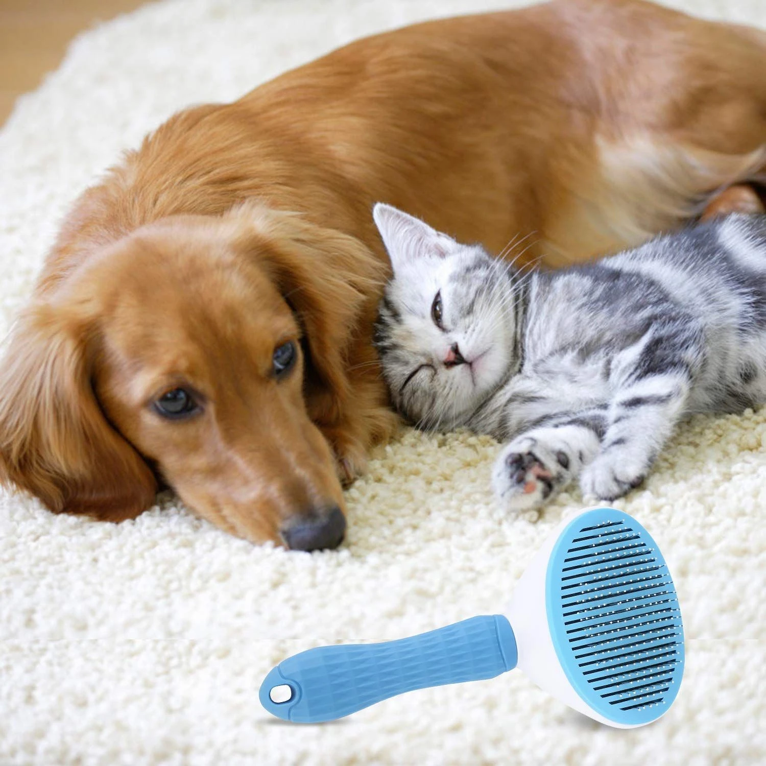 Buy Pet Cleaning Grooming Tools Product Cat Dog Hair Comb, Self ...