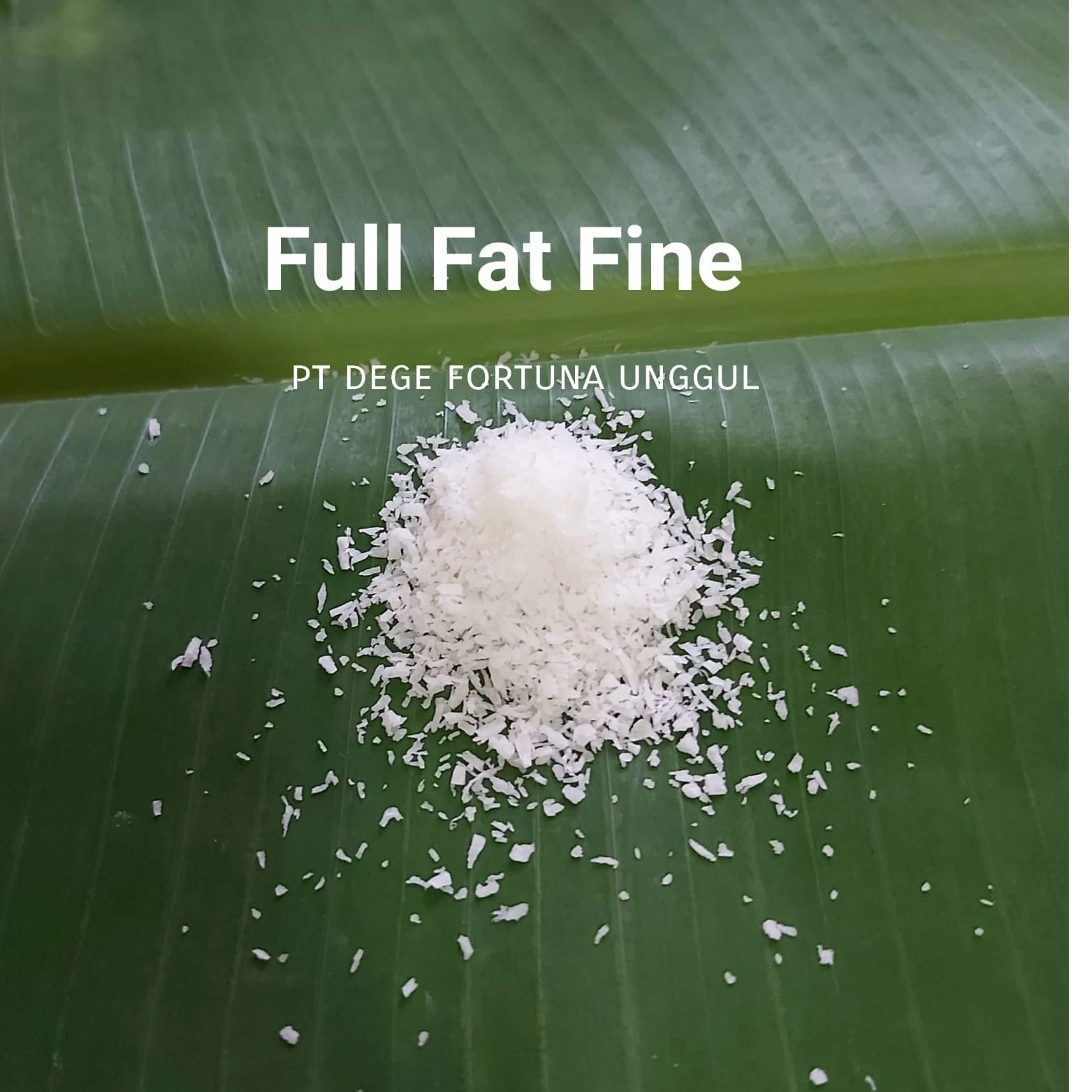 Buy Desiccated Coconut, Dried Coconut Pulp from PT. DEGE FORTUNA UNGGUL ...