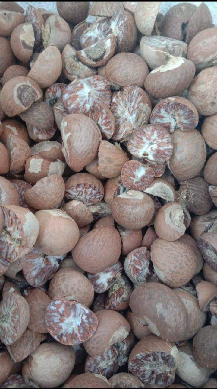 Buy Betel Nut Supplier From Indonesia from PT Andalan Mitra Exporindo ...