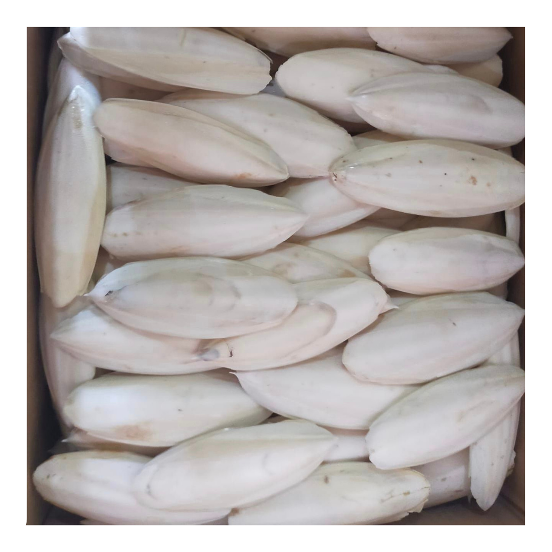 Buy Cuttlebone from Hang Xanh Company Limited, Vietnam | Tradewheel.com