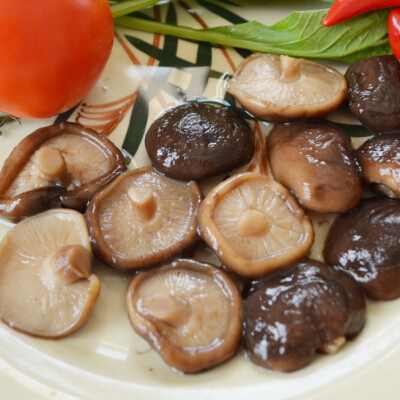 Buy Canned Poku Mushroom Whole from Zhangzhou Hongyi Import and Export ...