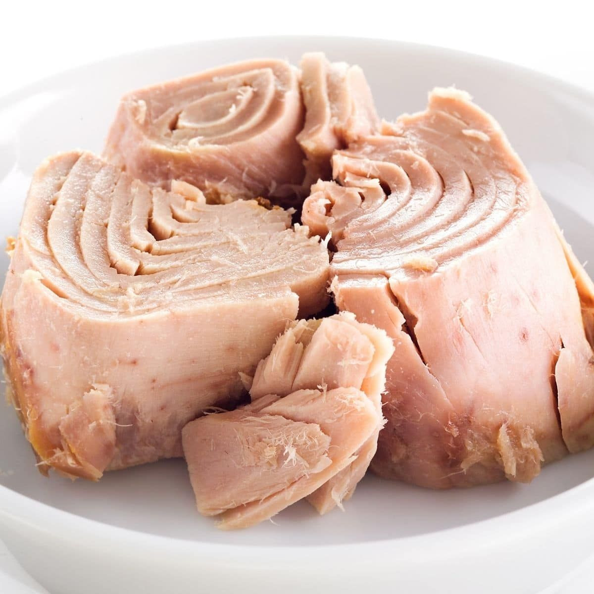 Buy Freshly Packed Canned Tuna With Natural Flavor High Protein Source ...