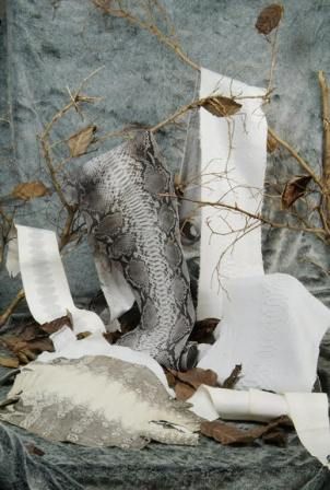 Buy Reticulated Python Leather Skin from Anson International Leather ...