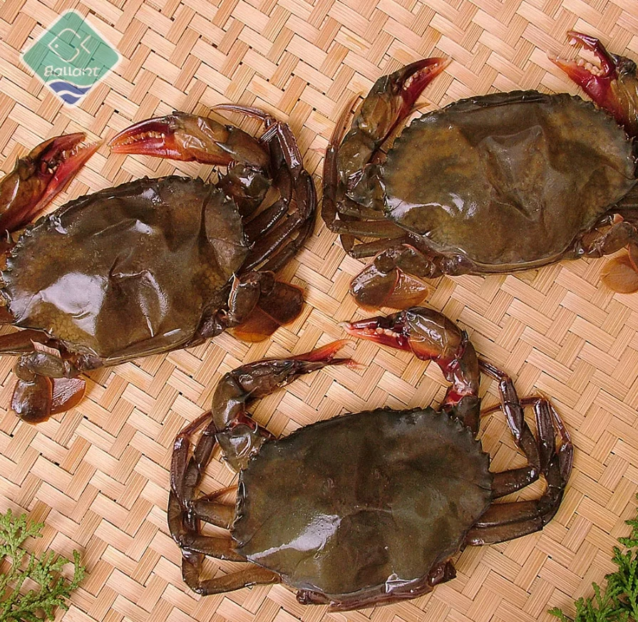 Buy Soft Shell Crab from Gallant Ocean Group, Taiwan | Tradewheel.com