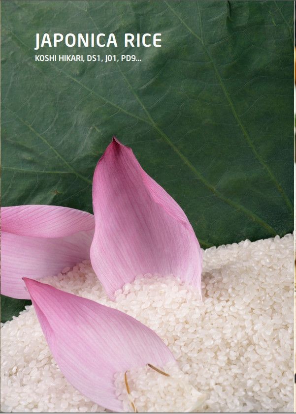 Buy Japonica Rice from VIETNAM NATIONAL SEED GROUP JOINT STOCK COMPANY ...