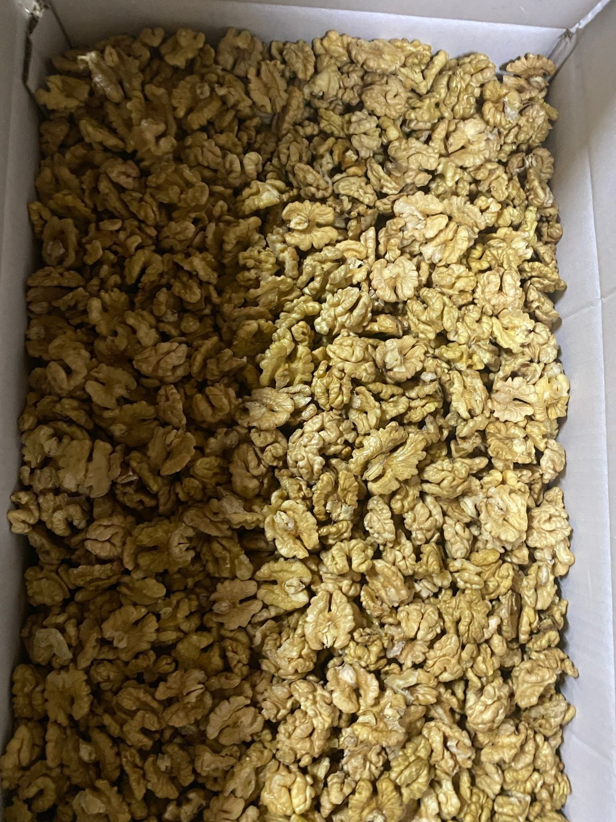 Buy Nuts from Romnuts & co, Italy | Tradewheel.com