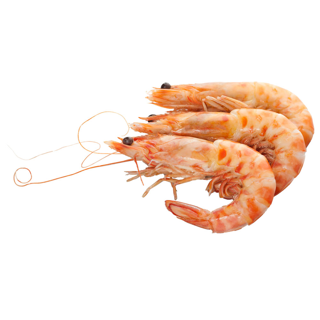 Buy Shrimp from East Fish Processing LLC, United Arab Emirates ...