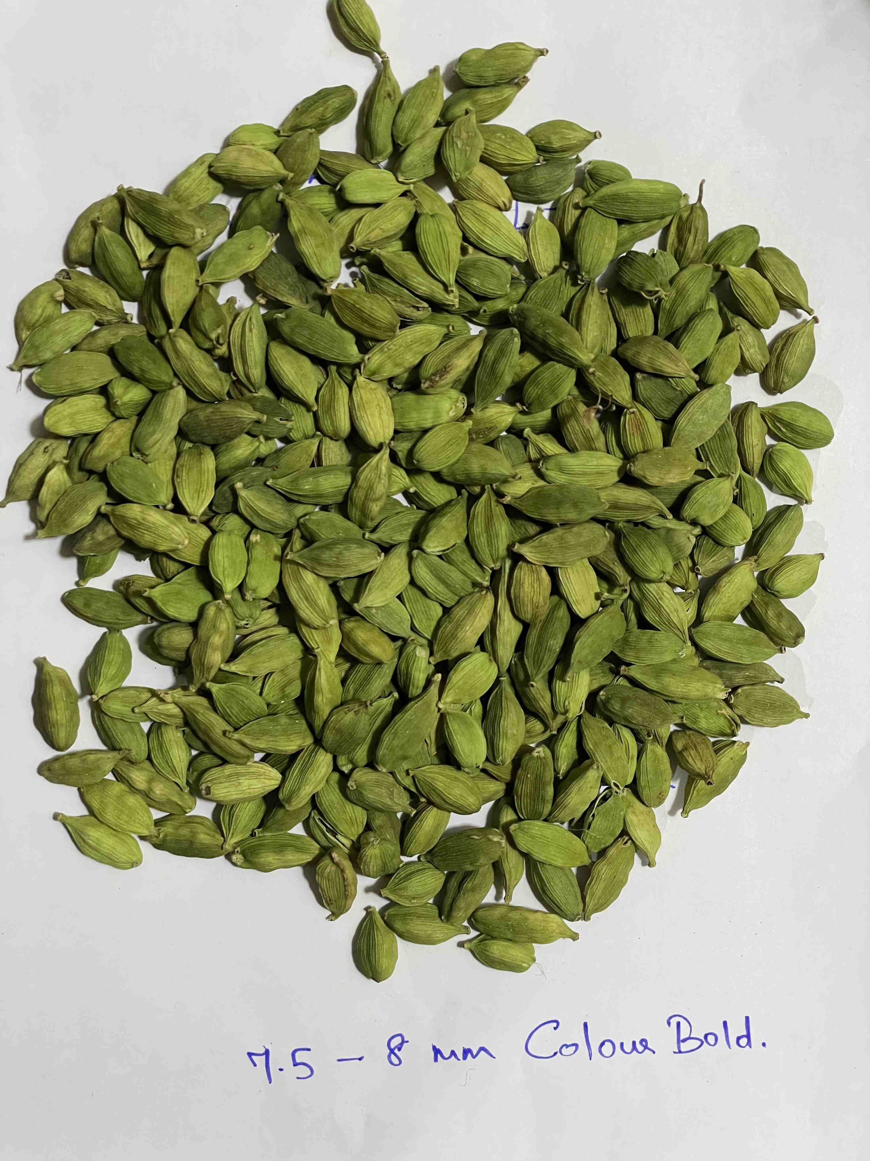 Buy Green Cardamom from Sri Yogaganapathi traders, India | Tradewheel.com