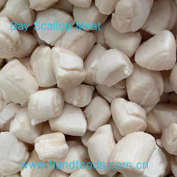 Buy Frozen Bay Scallop Meat from Hand Foods (Dalian) Co., Ltd., China ...