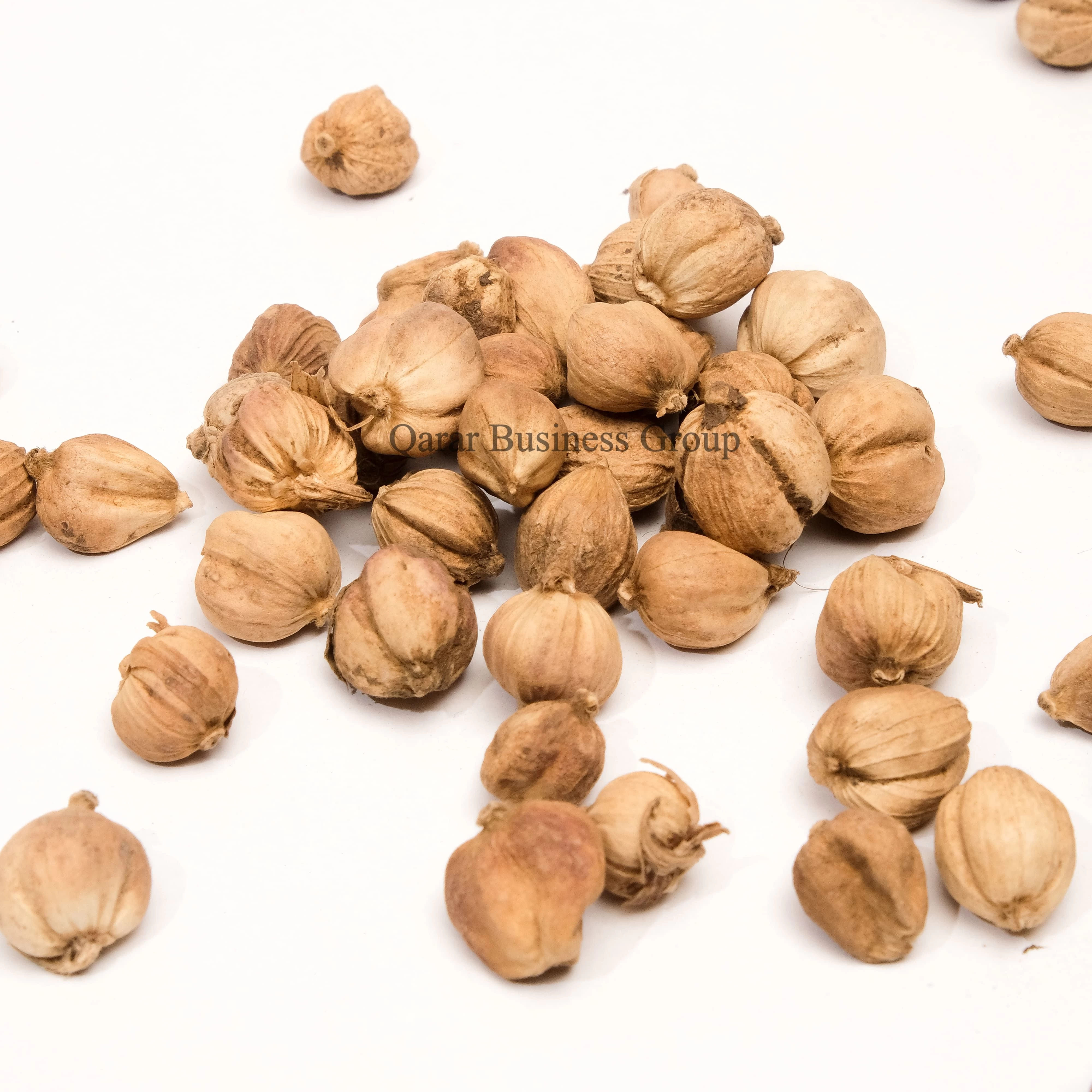 Buy White Cardamom from PT Qarar Business Group, Indonesia | Tradewheel.com