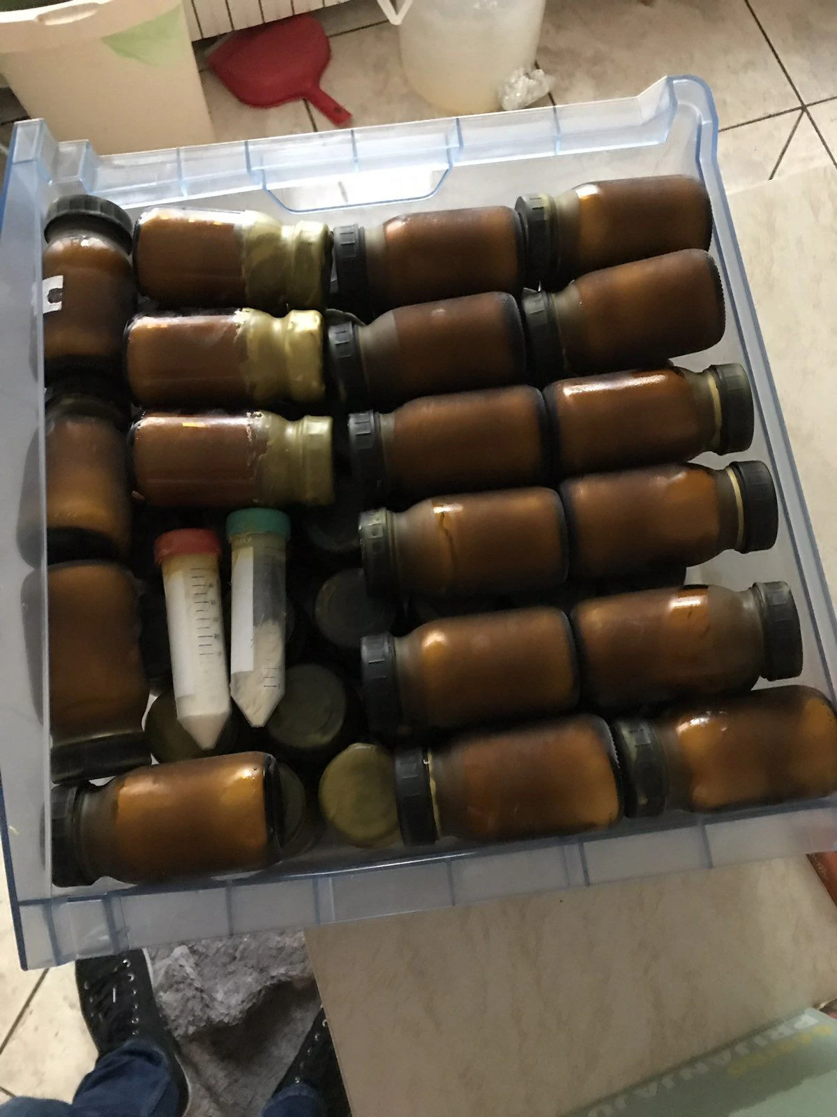 Buy Bee Venom - Apitoxin from Organic Balkan Ltd export - import ...