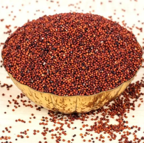 Buy Natural Little Unpolished White Millet For Food Processing from ...