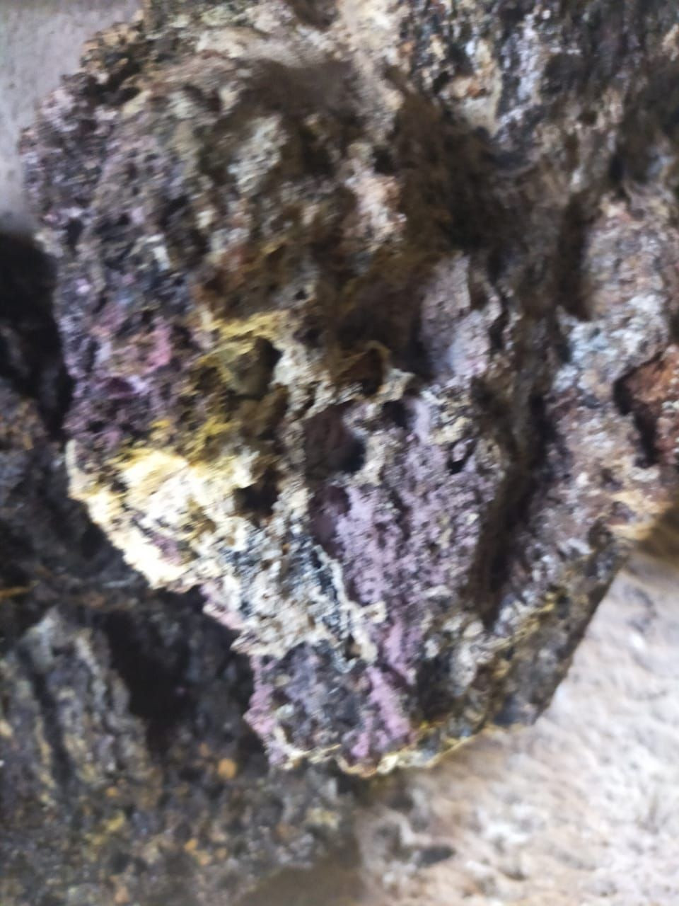 Buy Bat Guano Cave Rock Phosphate from Naico Agricource Inc, Canada ...