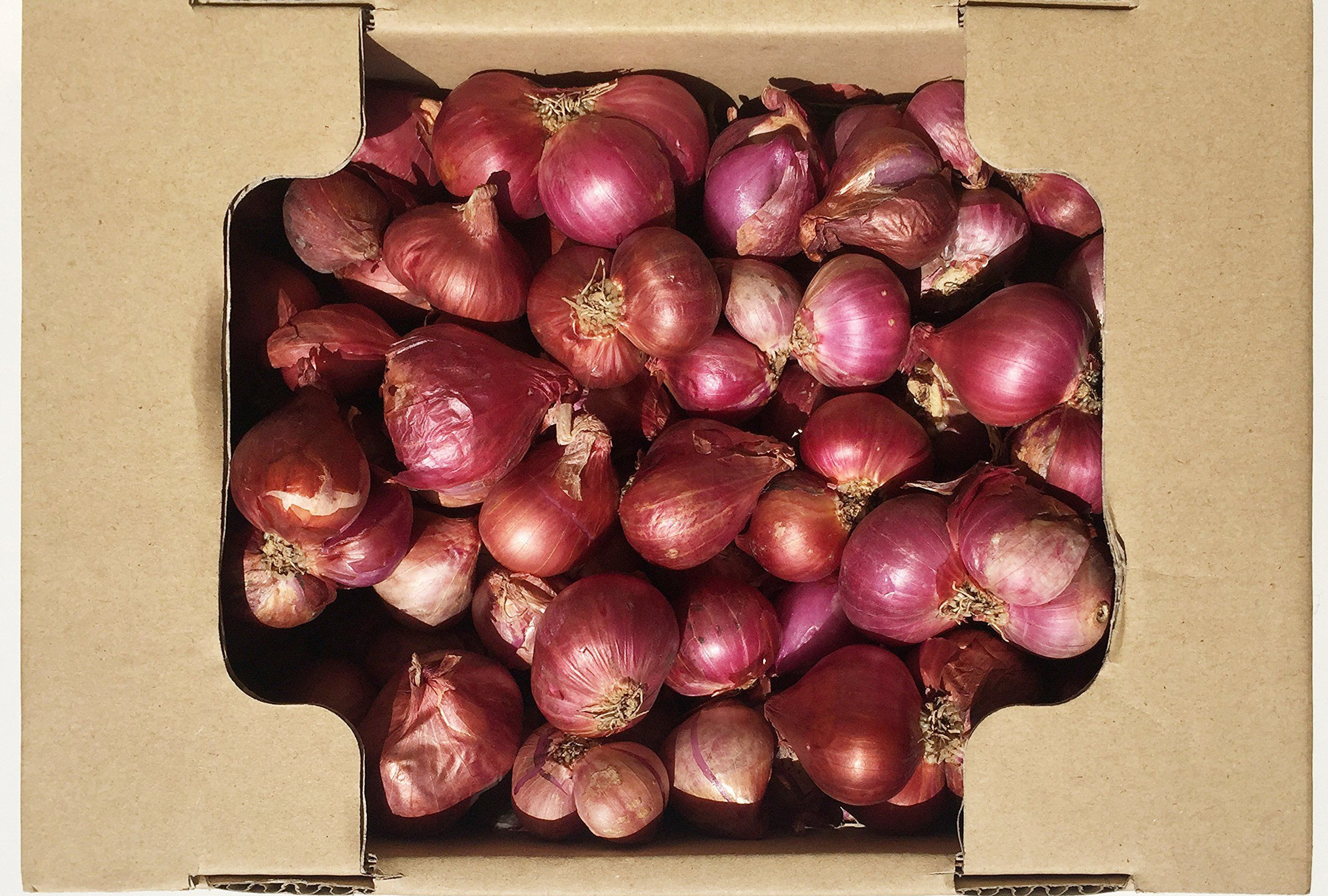 Buy Wholesale Fresh Yellow Red Onion Available from J & B FOOD LIMITED ...