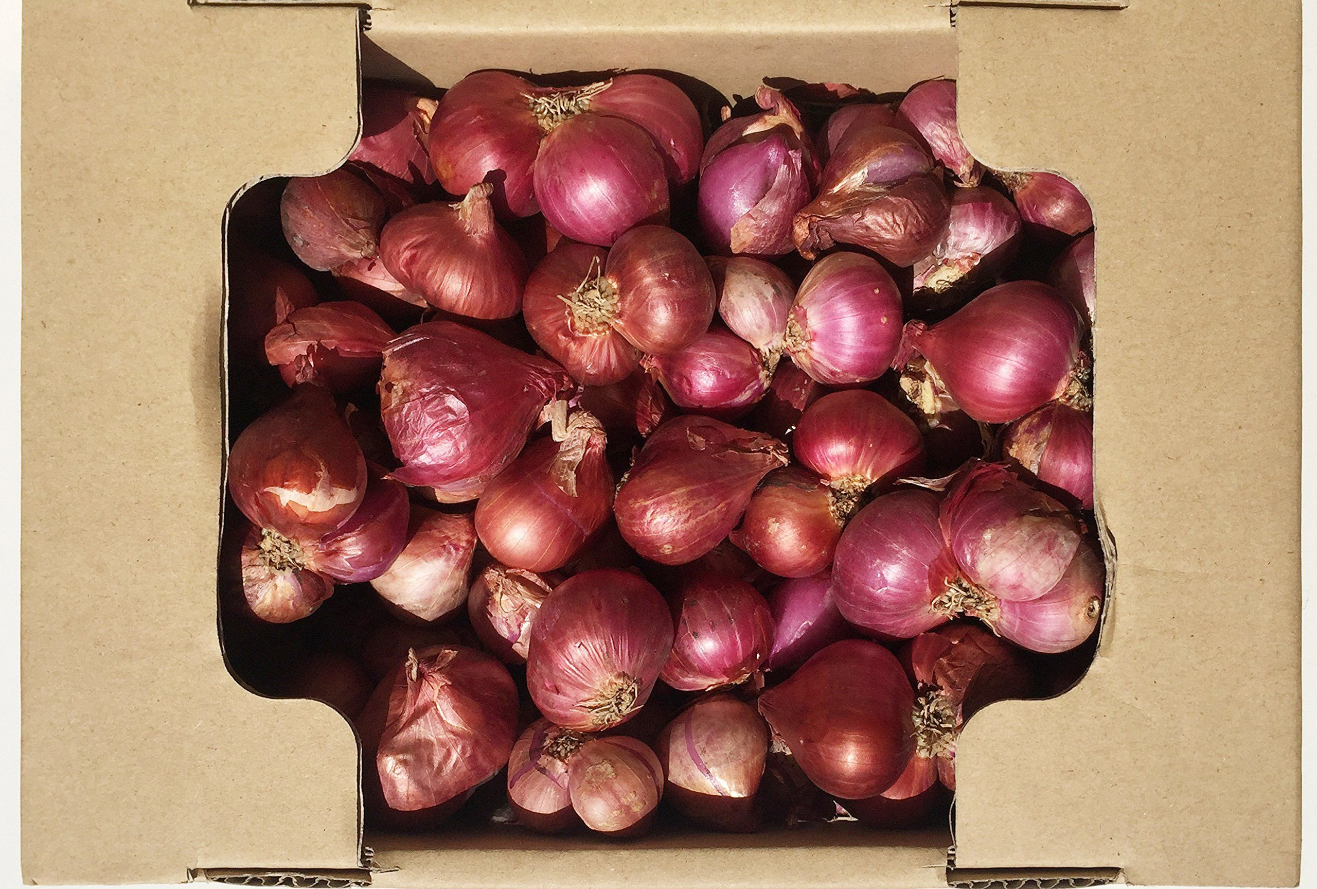Buy Wholesale Fresh Yellow Red Onion Available from J & B FOOD LIMITED ...
