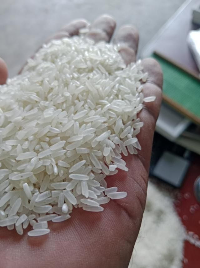 Buy Myanmar Emata Long Grain White Rice 5% Broken (well Milled Double ...
