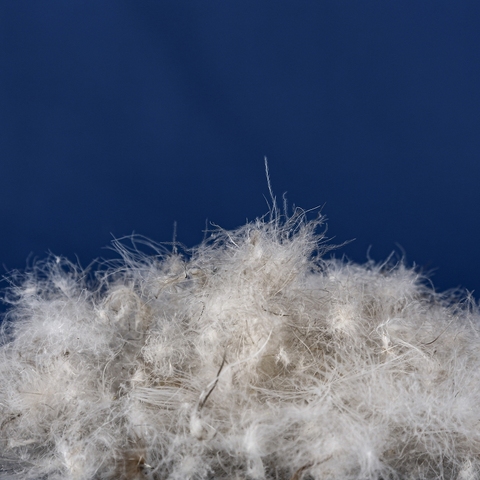 Buy 70% Free Sample China Filling Material Quality Feather Down Washed ...
