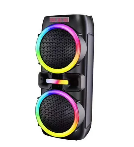 Buy Hifi Stereo Subwoofer Bass Party Powerful Stage Portable Dual High ...