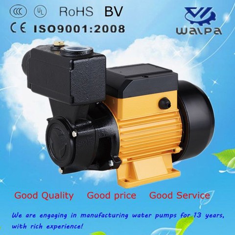 Buy Mini Pump Water Pump With High Head & Good Quality Tps70 0.75hp 100 ...