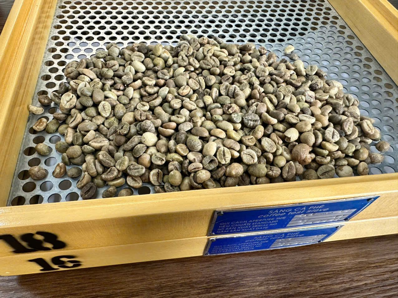Buy Robusta Green Coffee Bean Grade 1 Screen 18 Clean from Foodmax ...