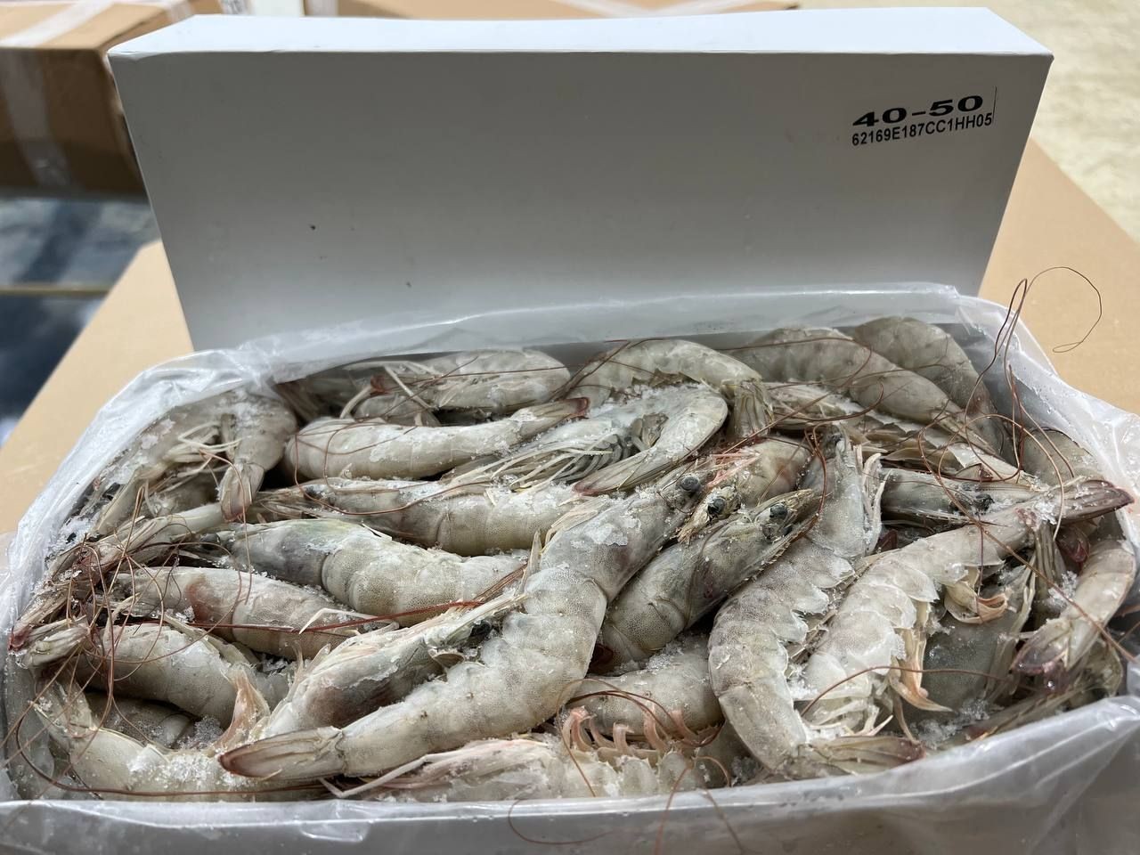 Buy Shrimp from Tara, Iran | Tradewheel.com