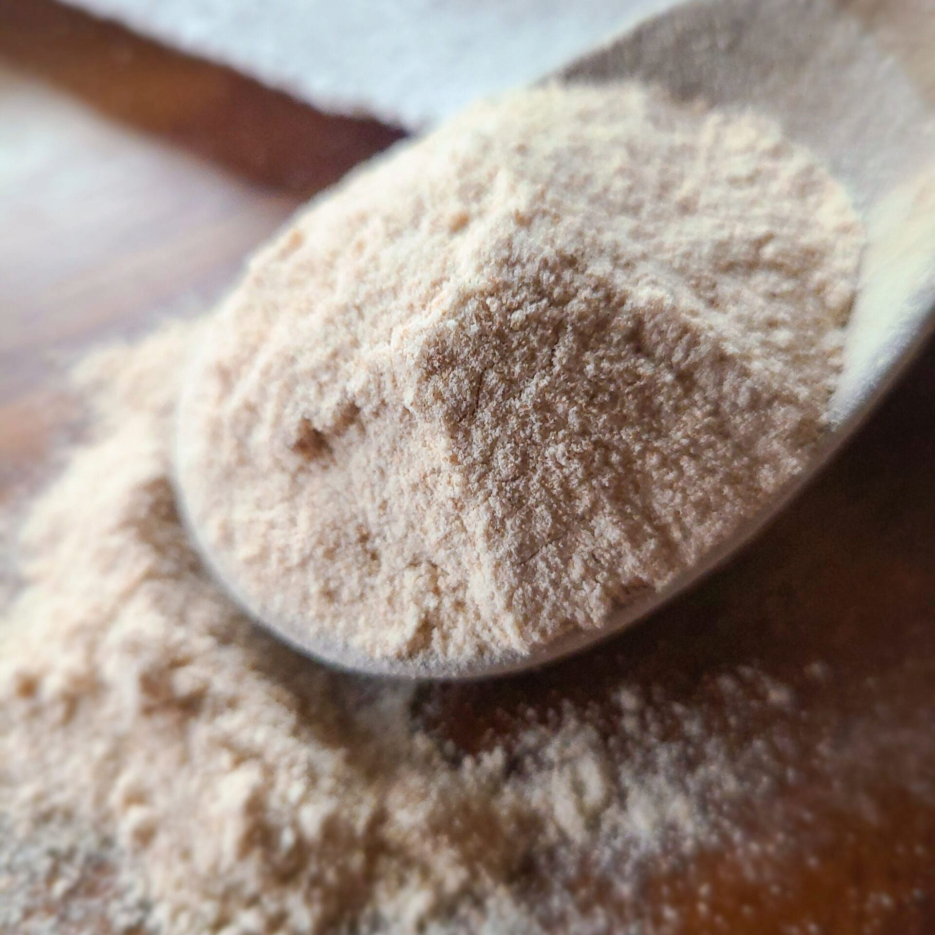 Buy Best Quality Whole Wheat Flour /wholesale Organic White Wheat Flour ...