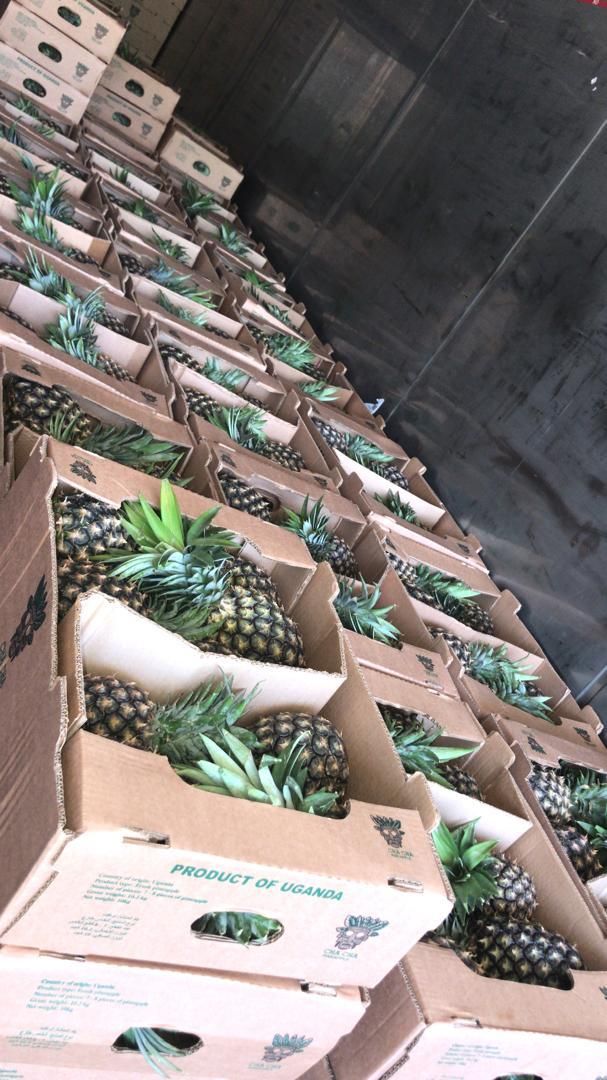 Buy Organic Pineapple From Uganda $2.50 Per Kilo from Muvule, Uganda ...